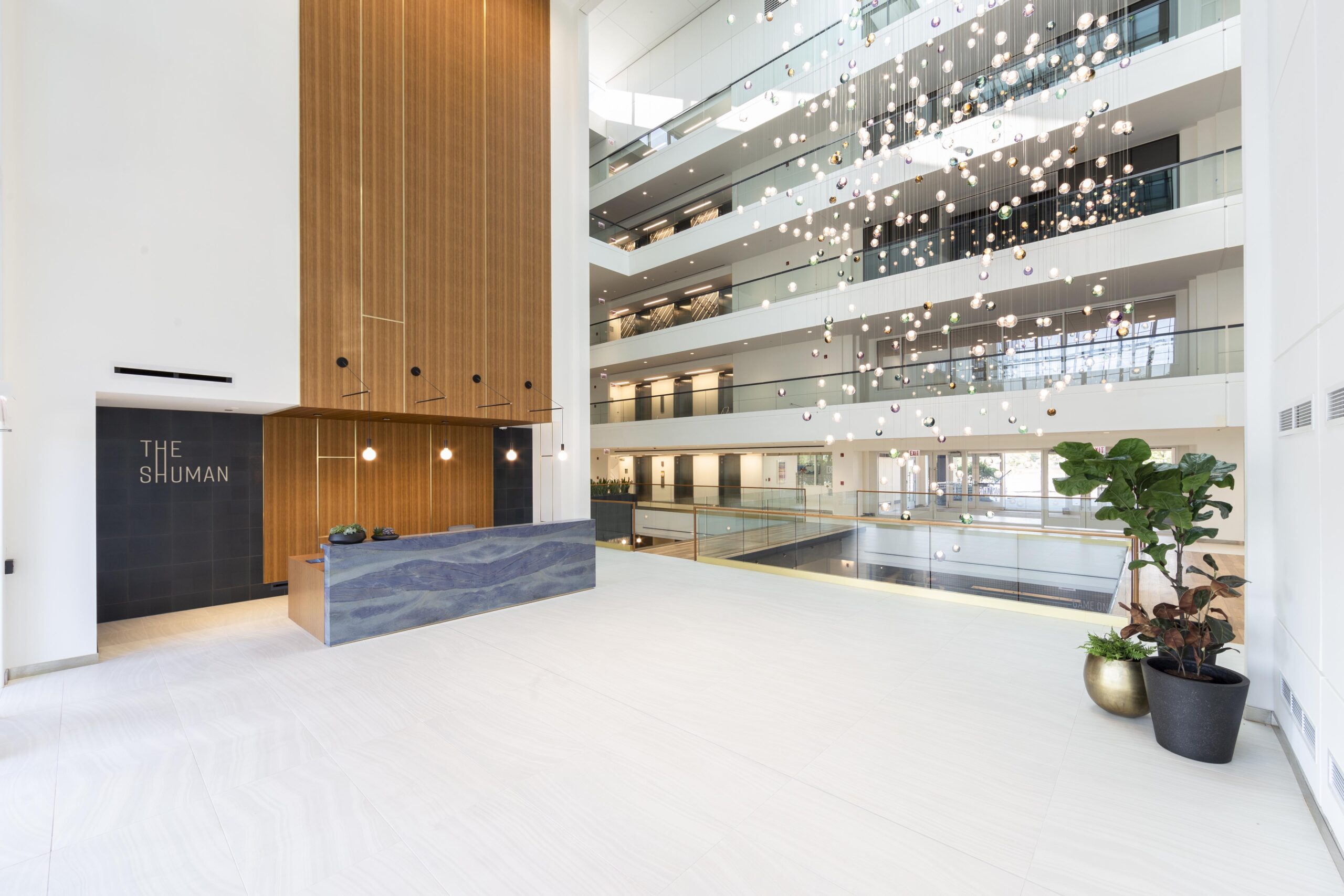 The Shuman - dsi-group.com